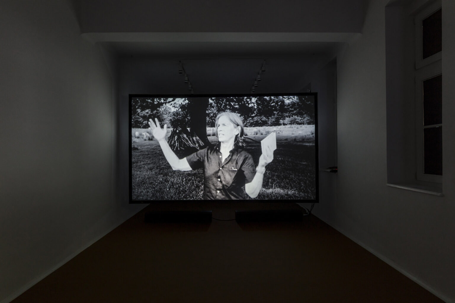 Ruth Novaczek at Kunstverein Gartenhaus – Art Viewer