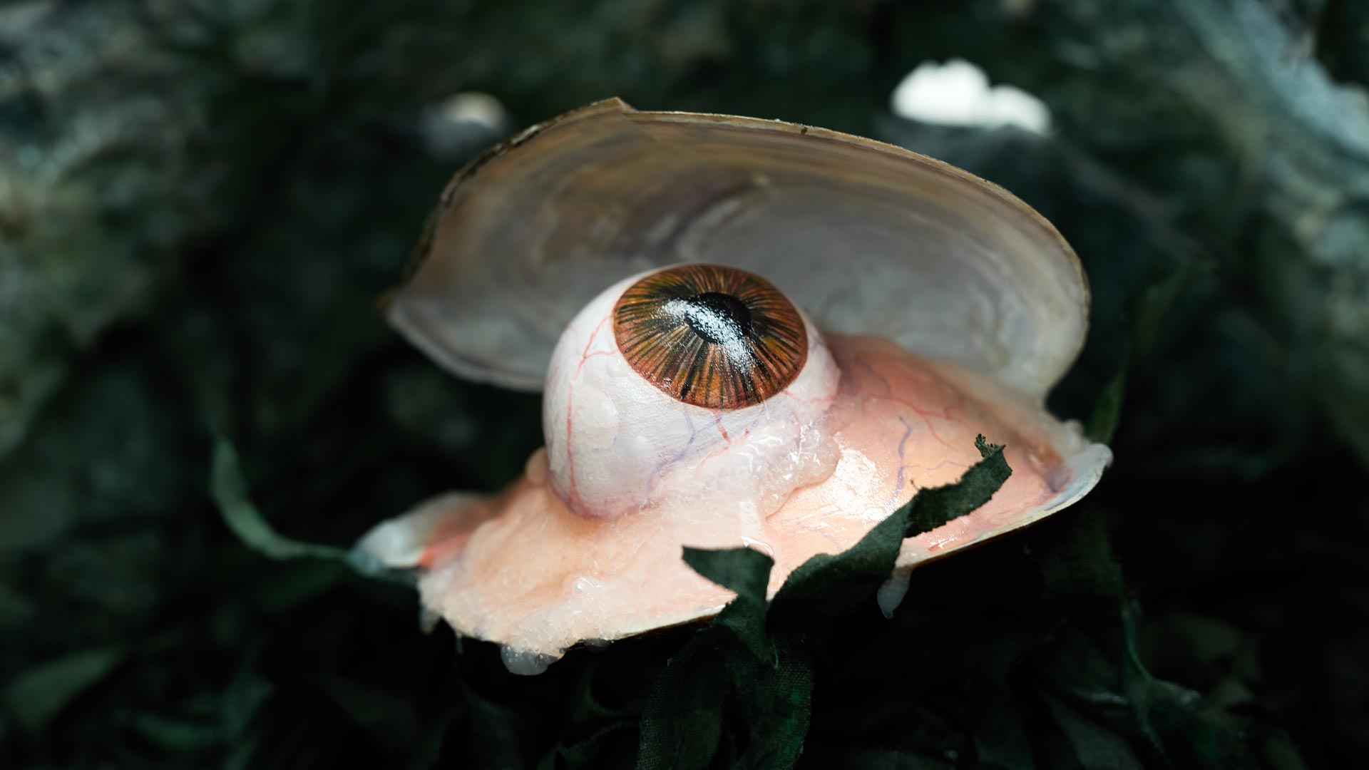 Ádám Horváth at Horizont Gallery – Art Viewer