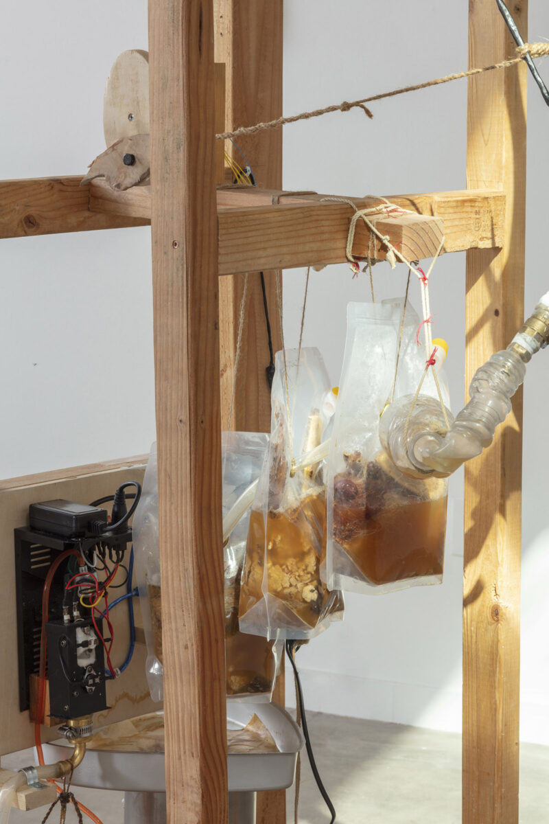 Haena Yoo at Murmurs – Art Viewer