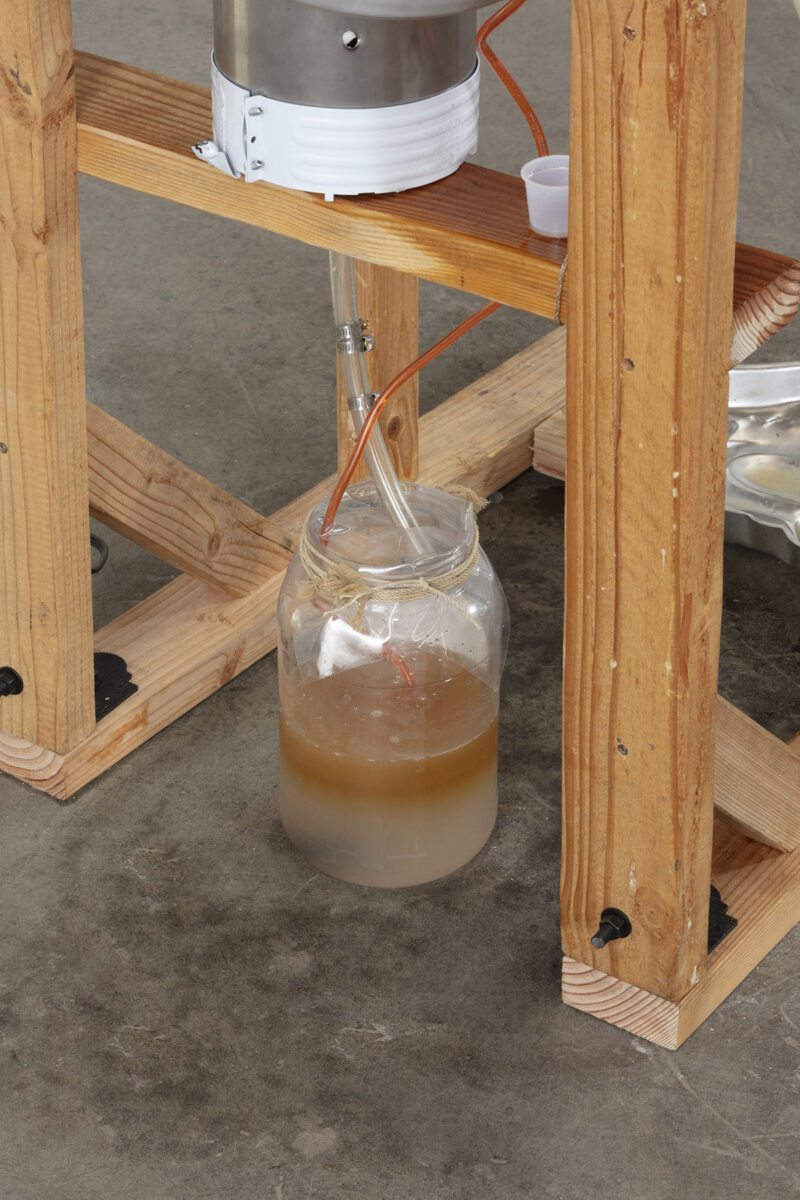 Haena Yoo at Murmurs – Art Viewer