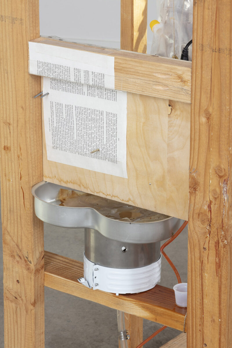 Haena Yoo at Murmurs – Art Viewer