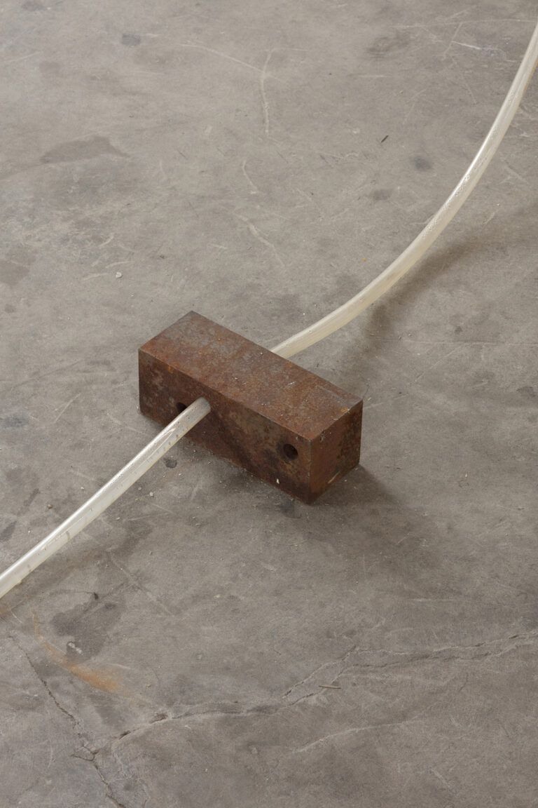 Haena Yoo at Murmurs – Art Viewer