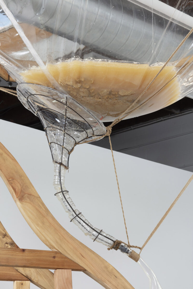 Haena Yoo at Murmurs – Art Viewer