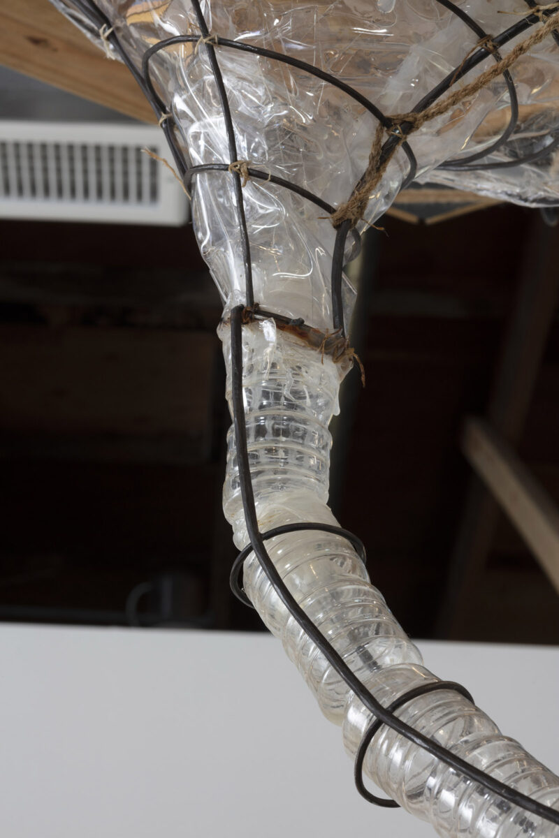 Haena Yoo at Murmurs – Art Viewer