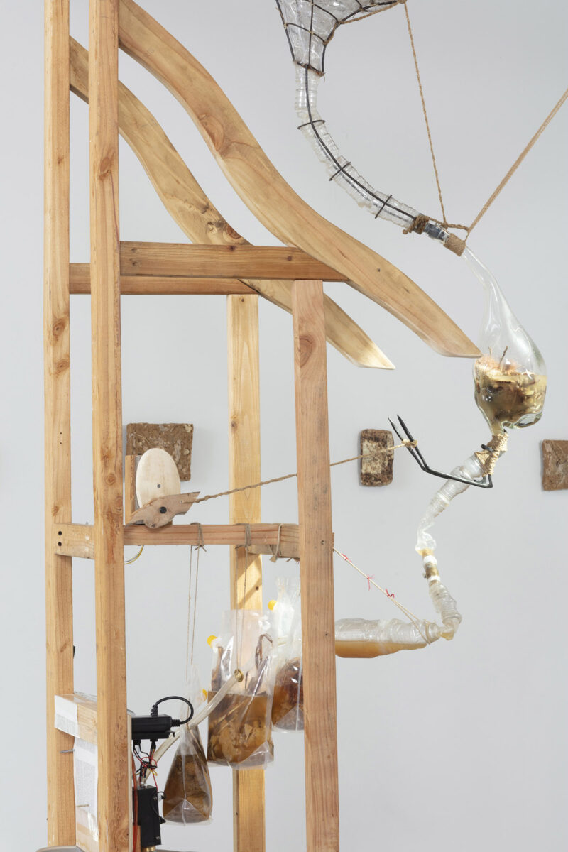 Haena Yoo at Murmurs – Art Viewer