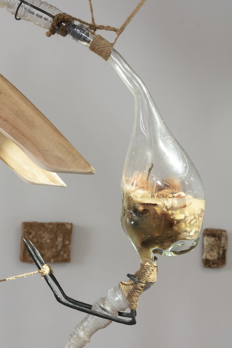 Haena Yoo at Murmurs – Art Viewer