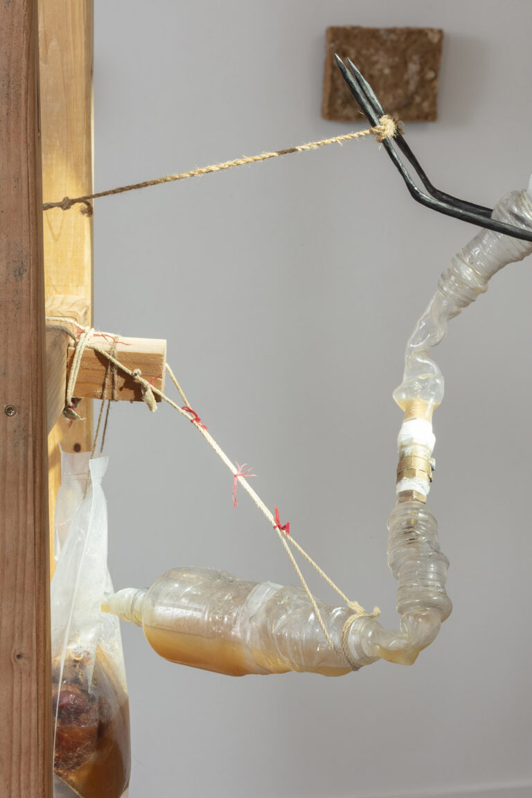 Haena Yoo at Murmurs – Art Viewer