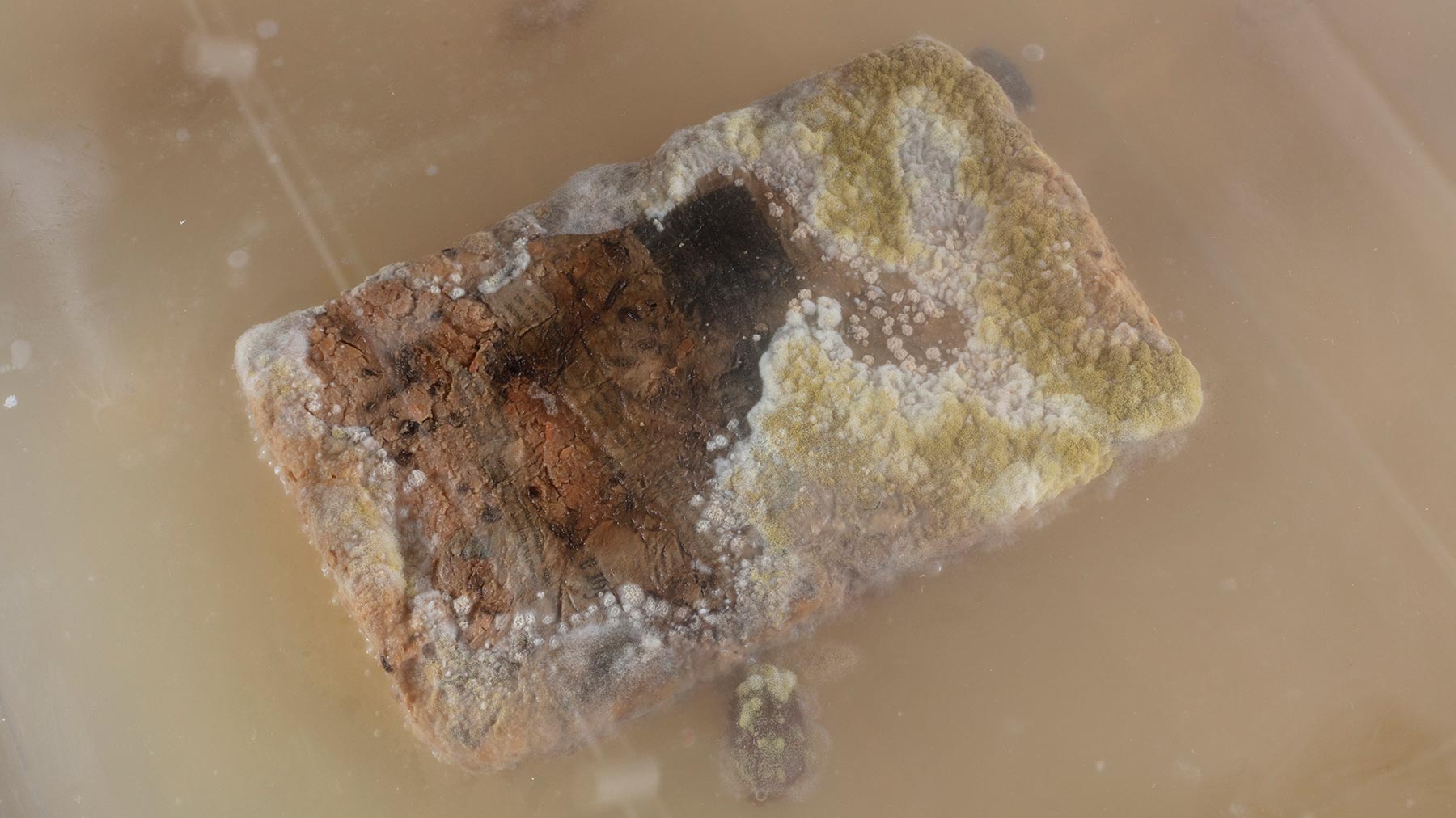 Haena Yoo at Murmurs – Art Viewer