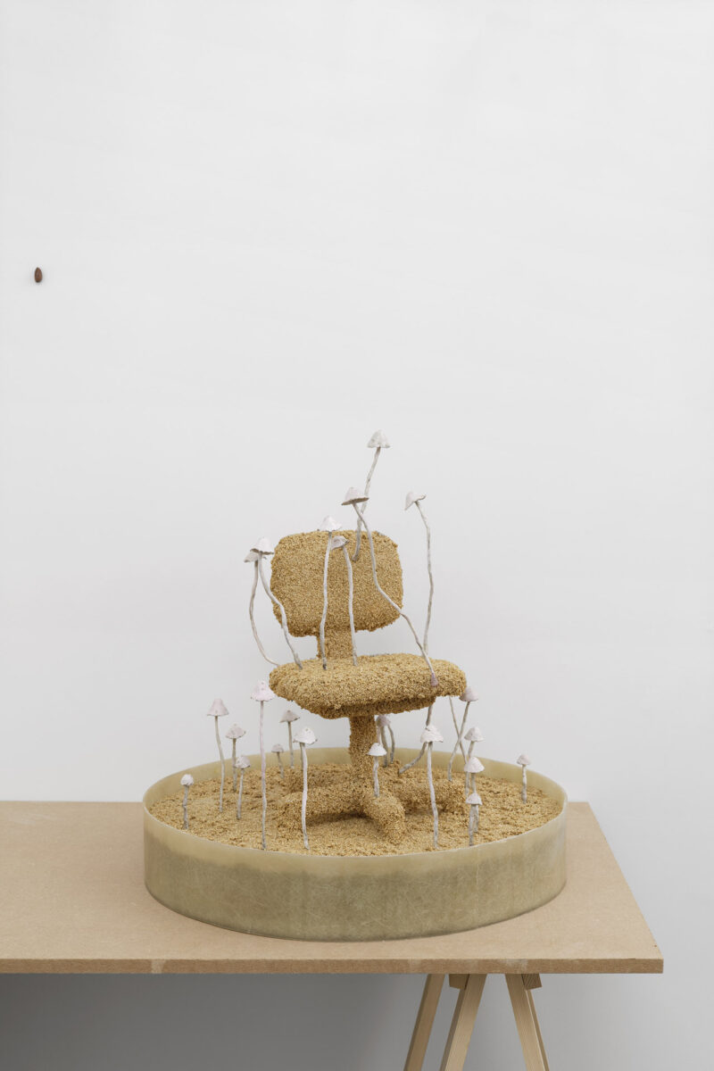 Hamish Pearch at Sans titre (2016) – Art Viewer