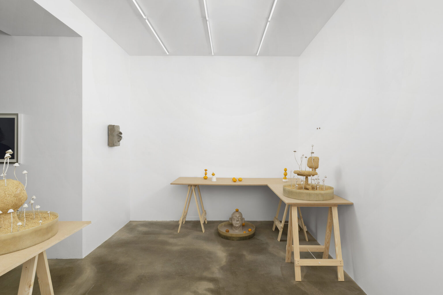 Hamish Pearch at Sans titre (2016) – Art Viewer