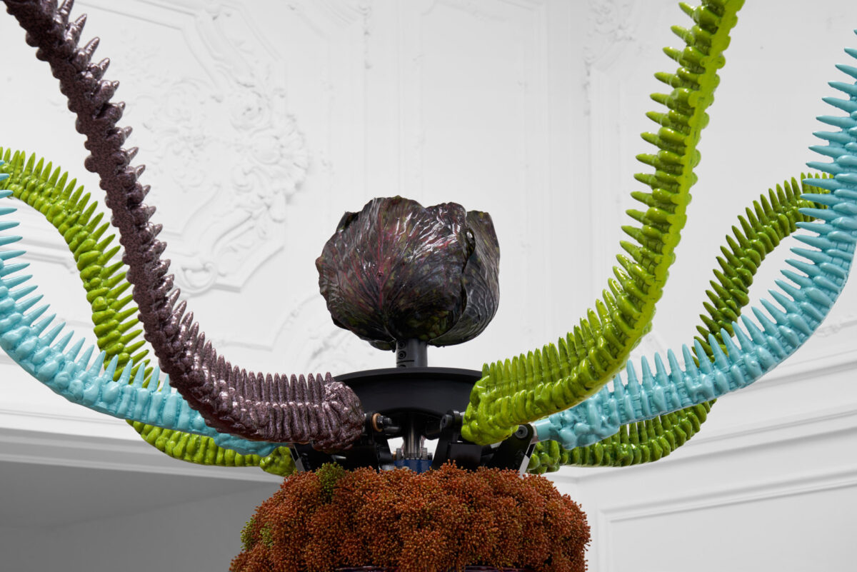 Max Hooper Schneider at High Art – Art Viewer