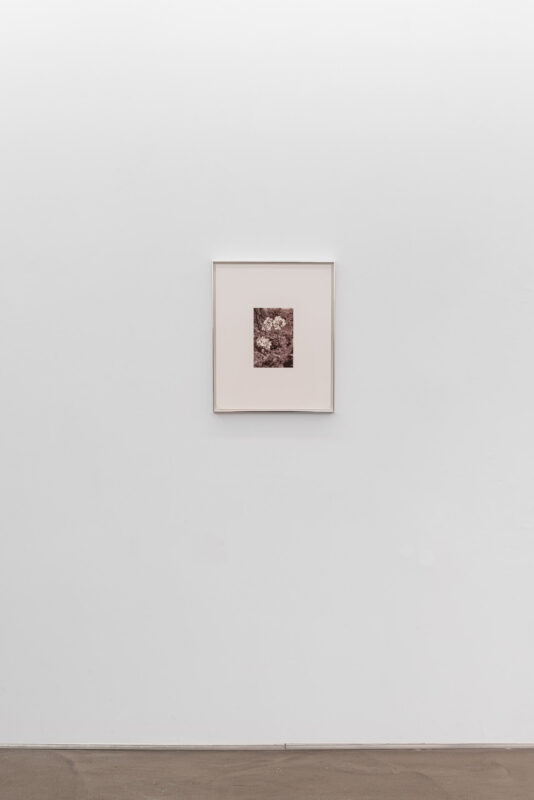 Roman Moriceau at Galerie Derouillon – Art Viewer