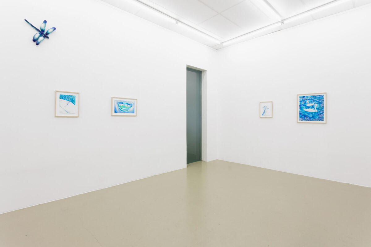 Signe Ralkov at Bricks Gallery – Art Viewer