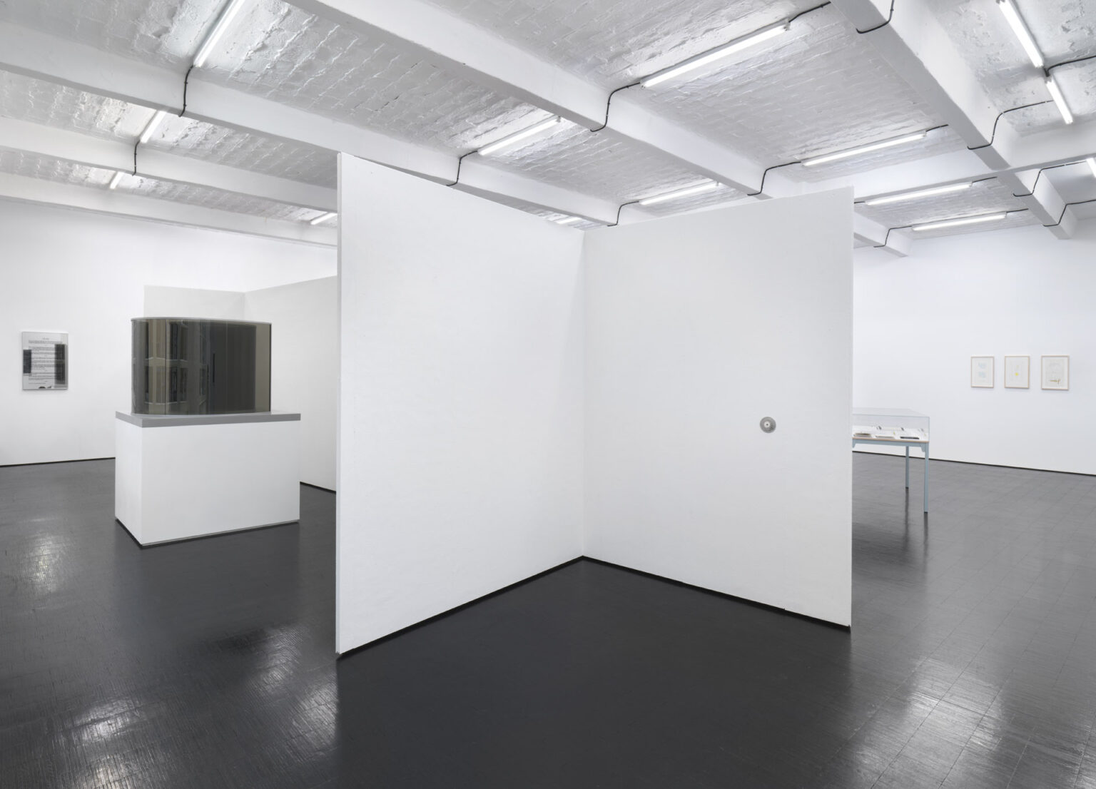 Stars Down to Earth at Galerie Barbara Weiss – Art Viewer