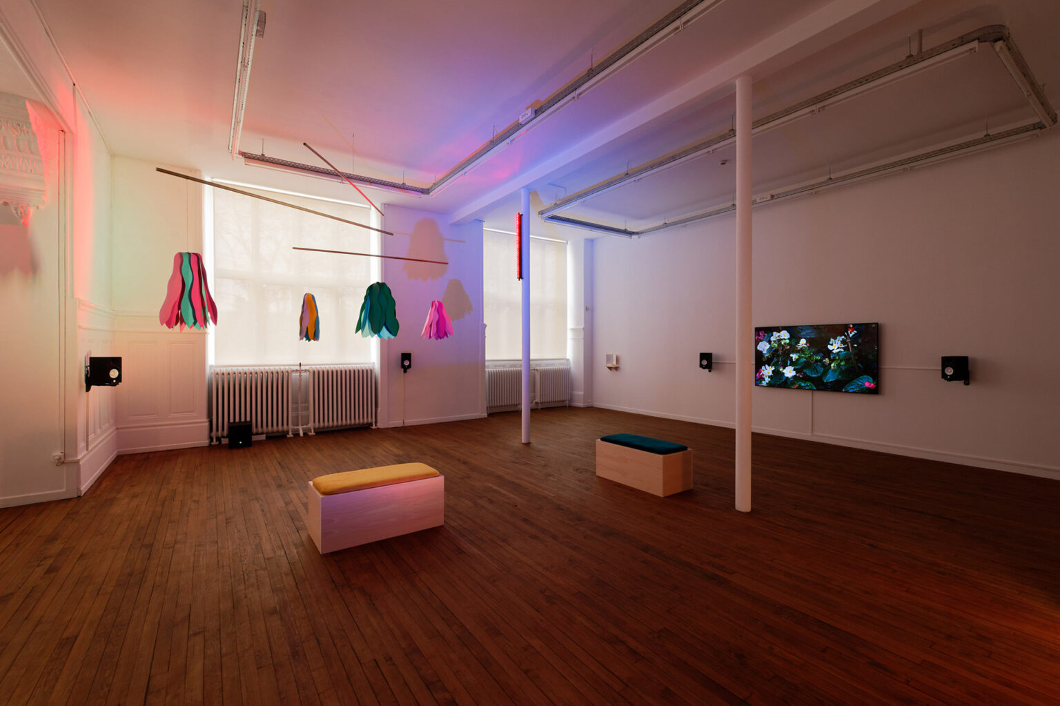 Benjamin Seror at CRAC Alsace – Art Viewer