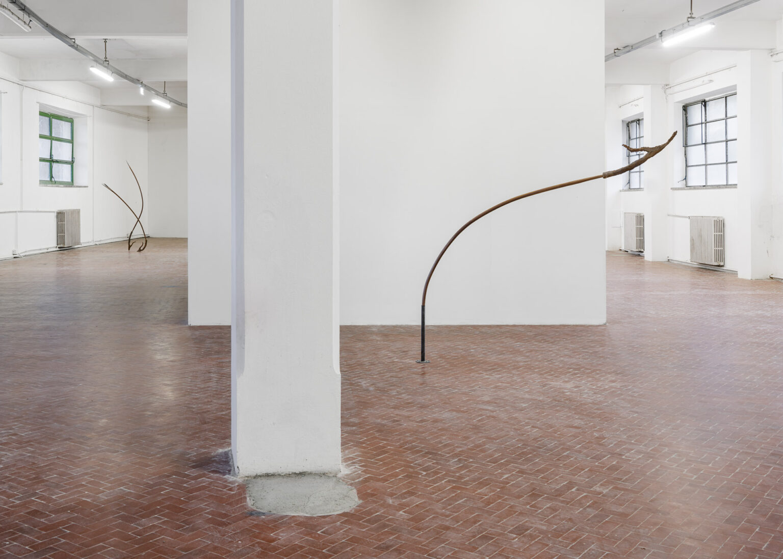 Dominique White at VEDA – Art Viewer