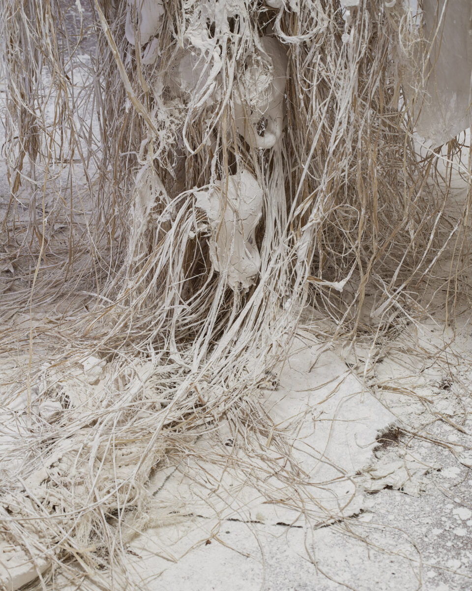 Dominique White at VEDA – Art Viewer