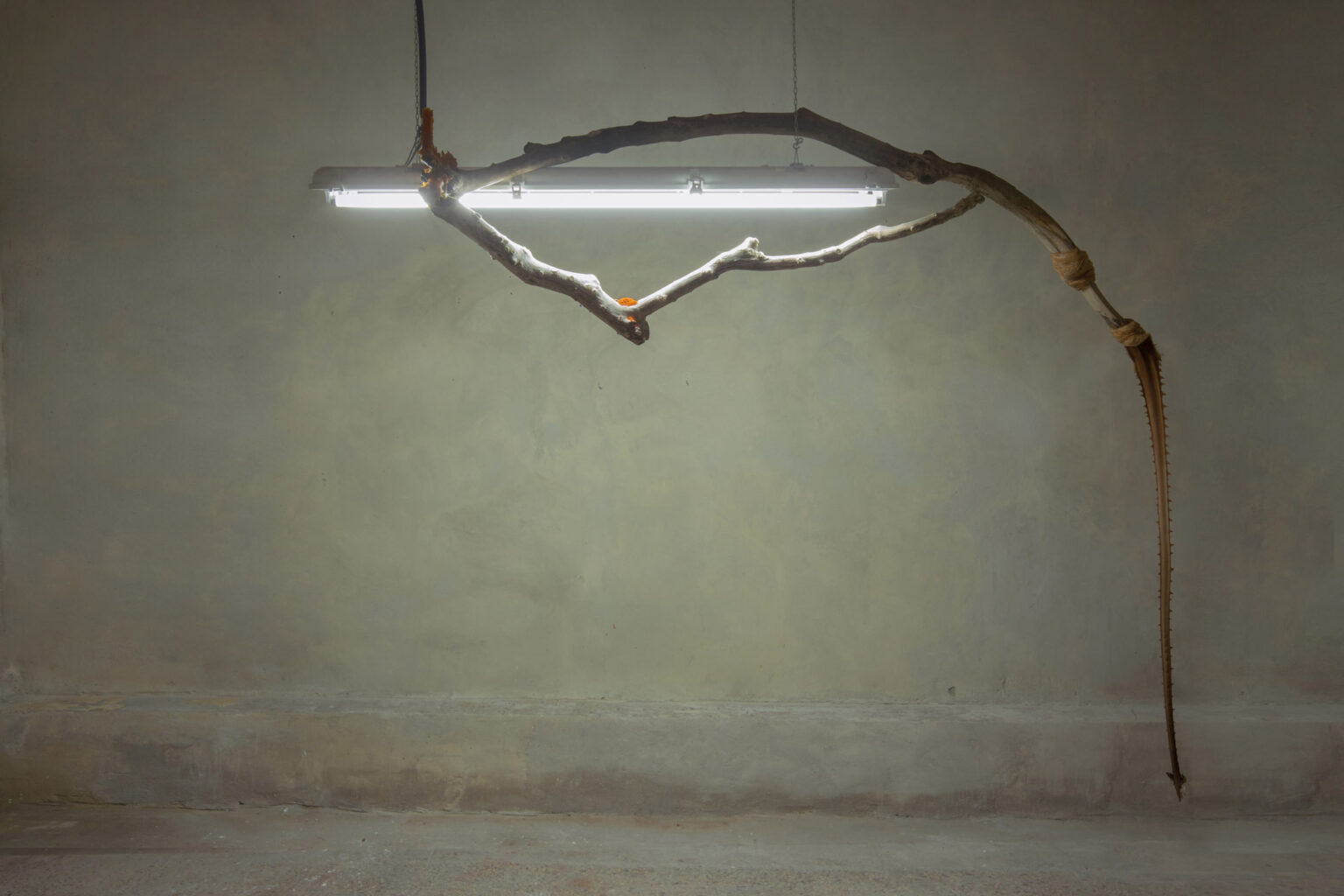 Monia Ben Hamouda at Pols – Art Viewer