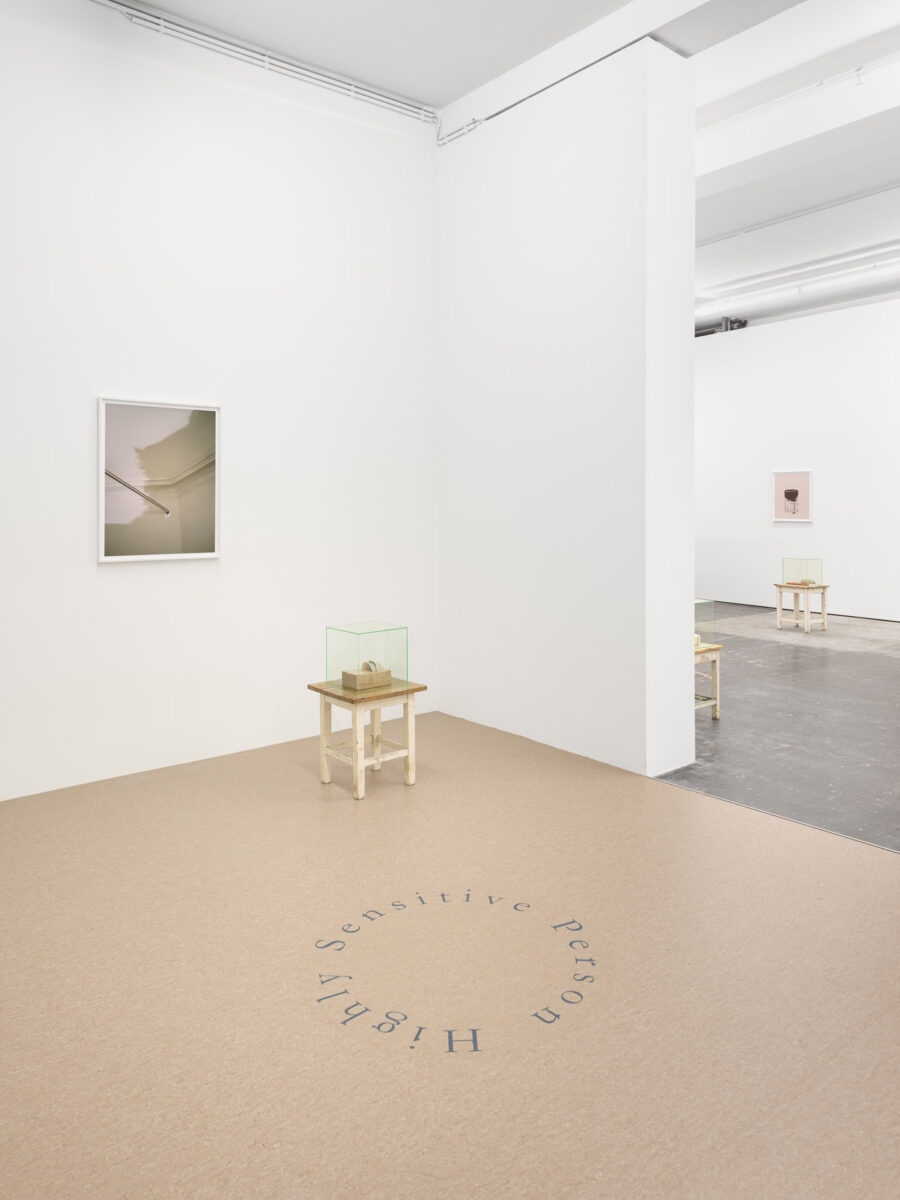 Becky Beasley at Galeria Plan B – Art Viewer