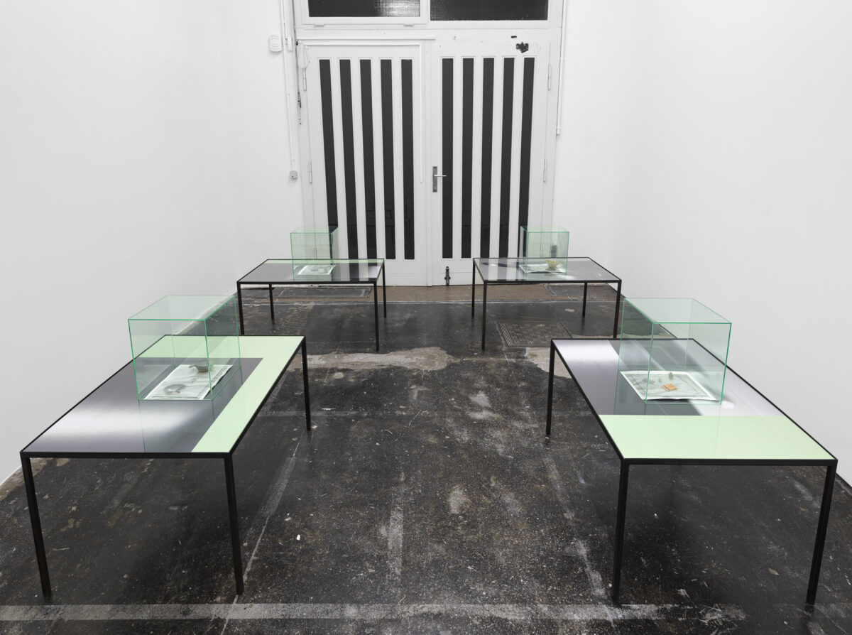 Becky Beasley at Galeria Plan B – Art Viewer