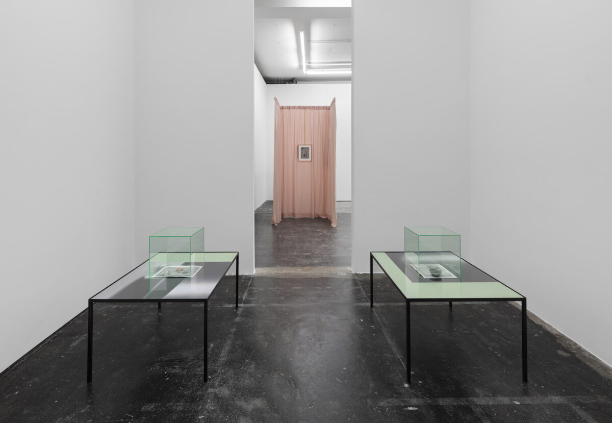 Becky Beasley at Galeria Plan B – Art Viewer