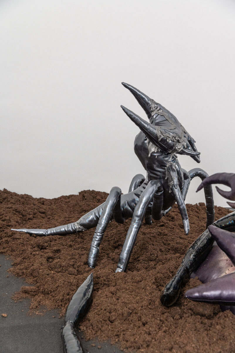 Mary-Audrey Ramirez at beacon – Art Viewer