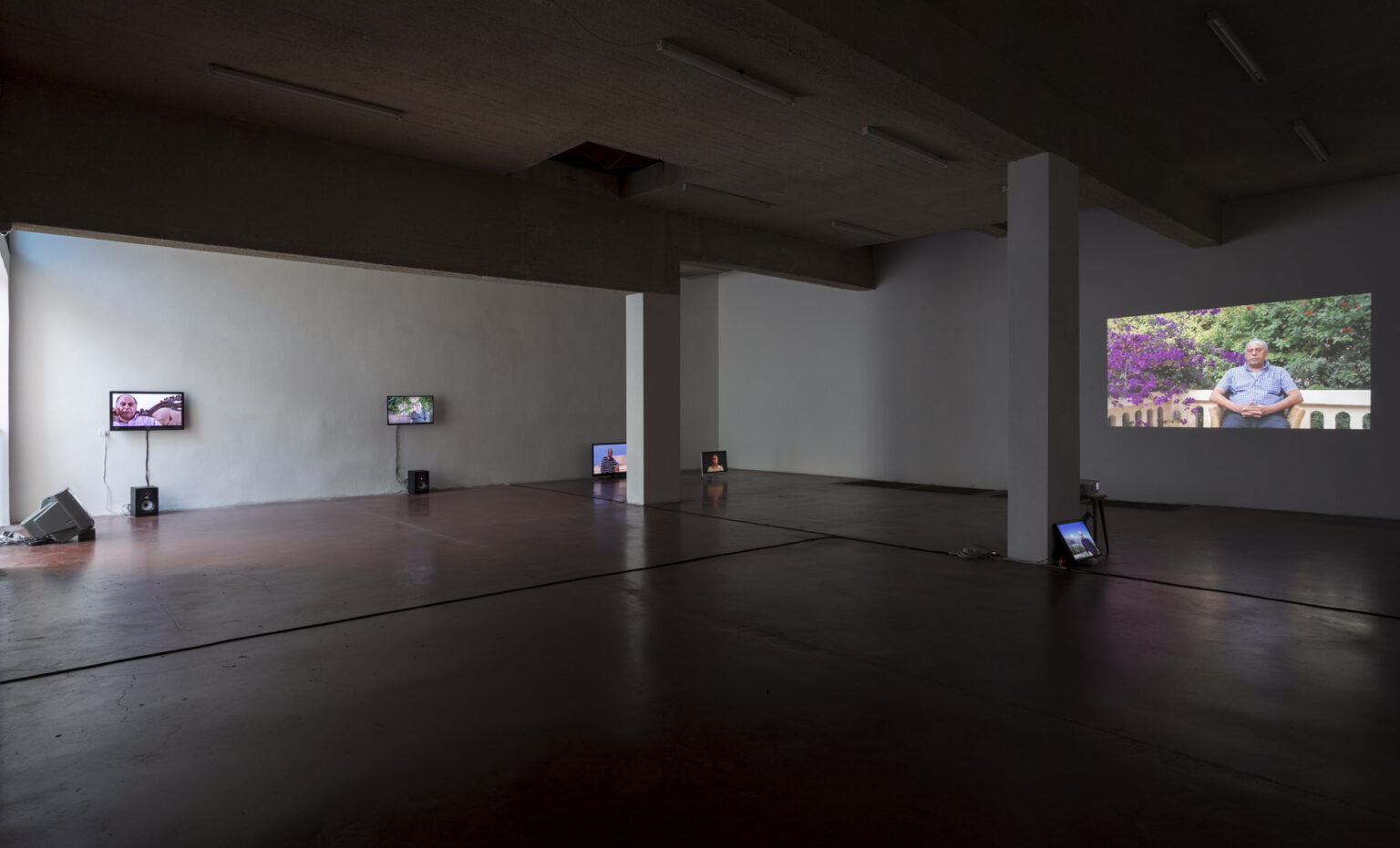 Elham Rokni at Dvir Gallery – Art Viewer