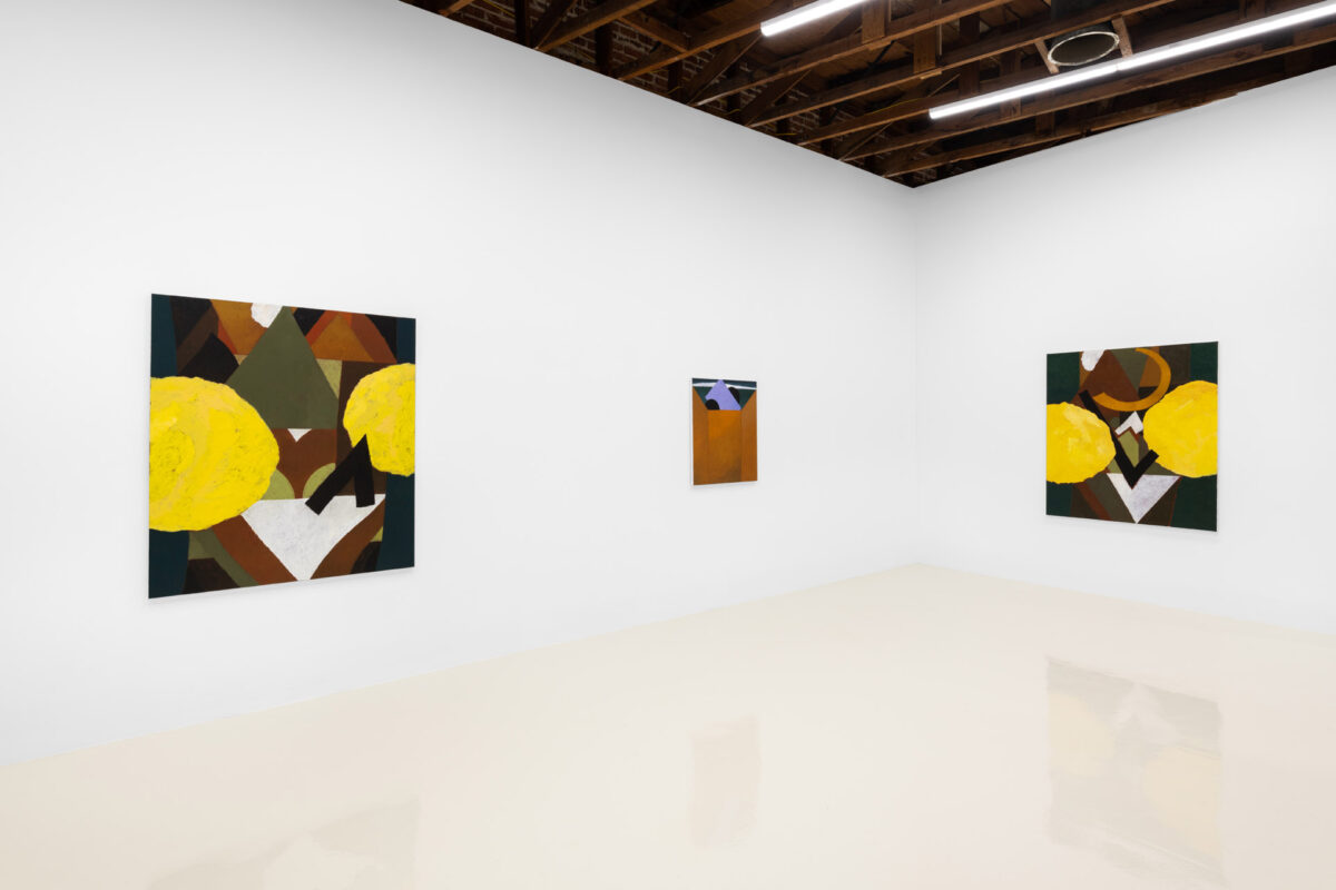 Tyler Vlahovich at Chris Sharp Gallery – Art Viewer