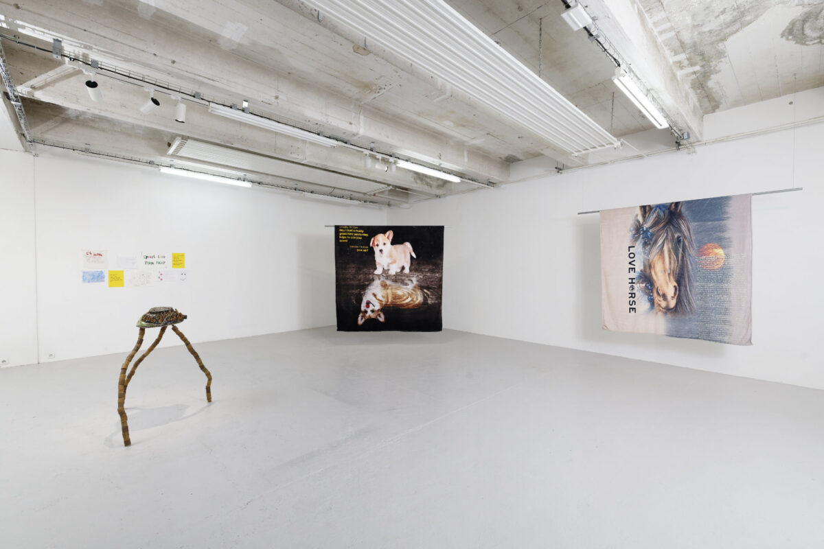 Caroline Thiery at Passerelle Centre d’art contemporain – Art Viewer