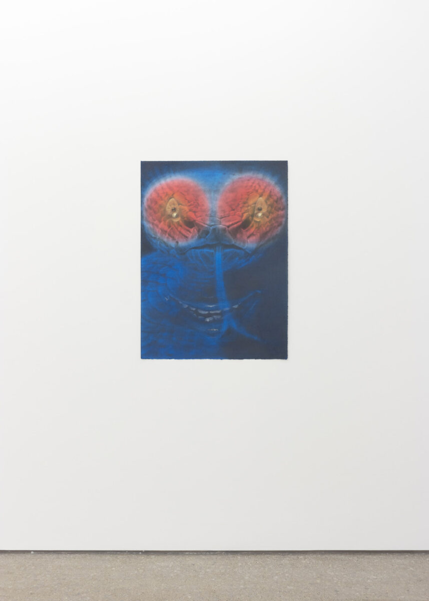 Neal Vandenbergh at MICKEY – Art Viewer