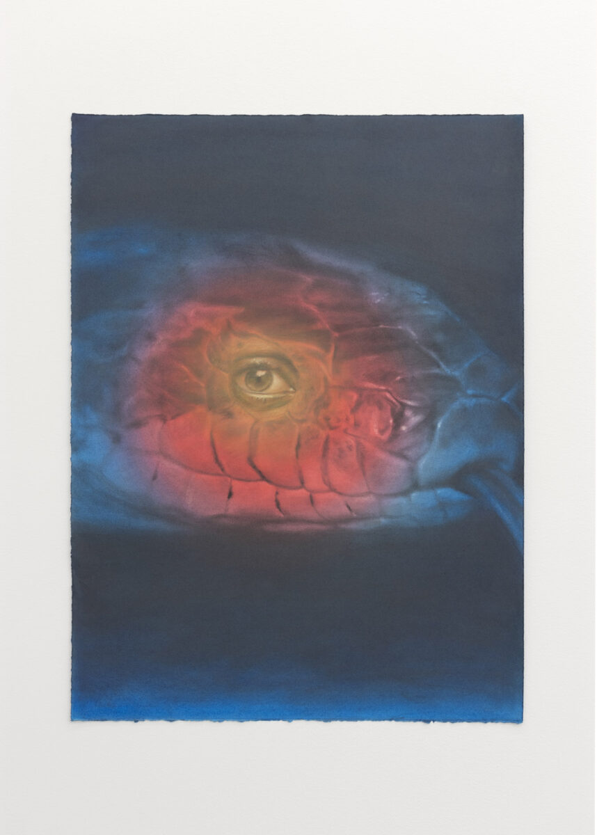 Neal Vandenbergh at MICKEY – Art Viewer