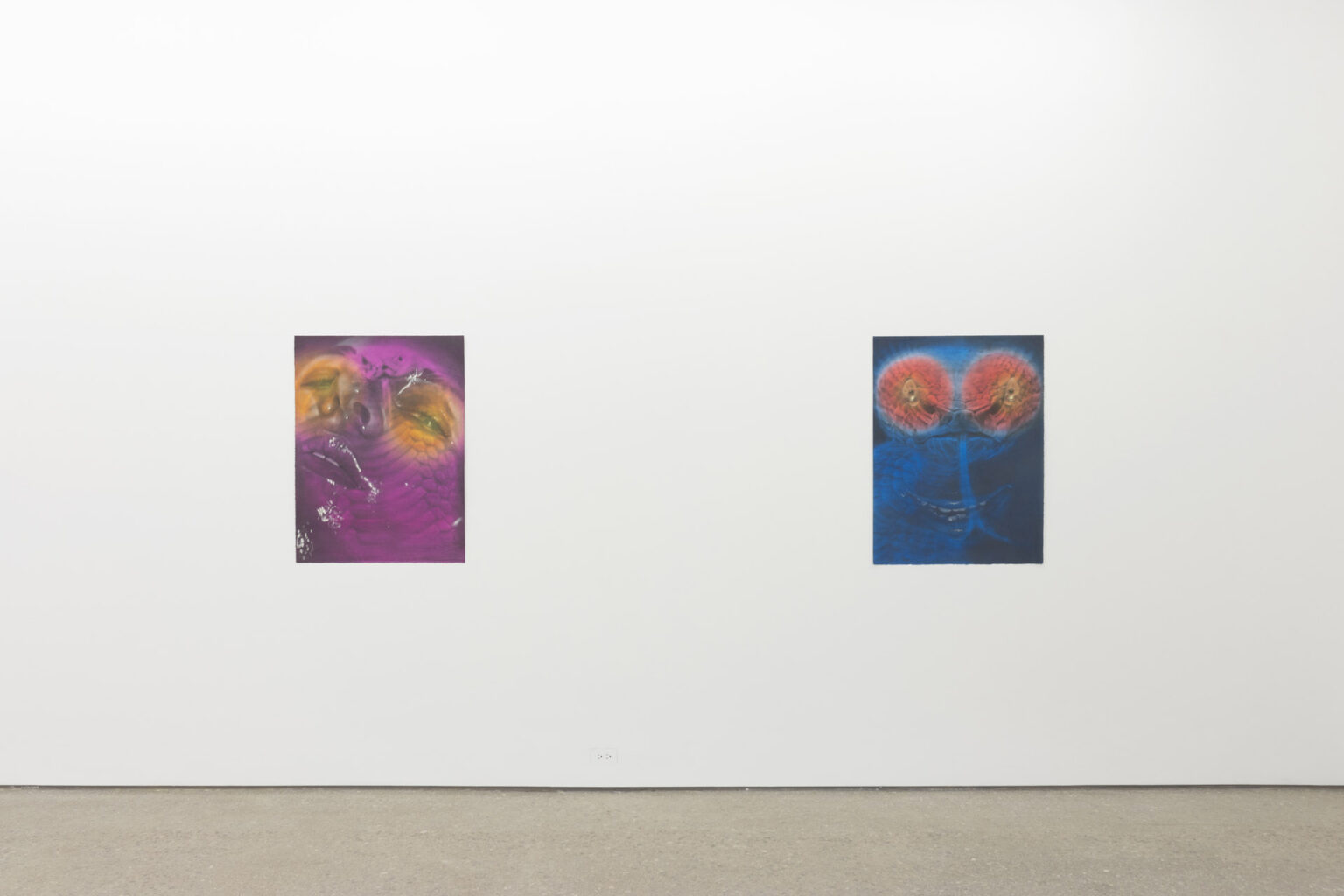 Neal Vandenbergh at MICKEY – Art Viewer