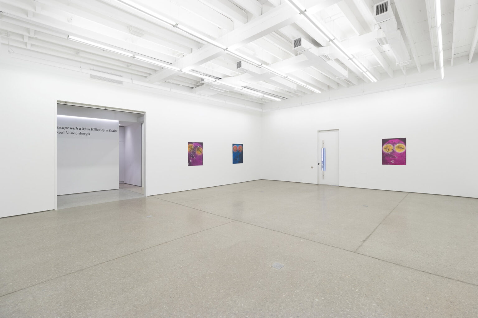 Neal Vandenbergh at MICKEY – Art Viewer