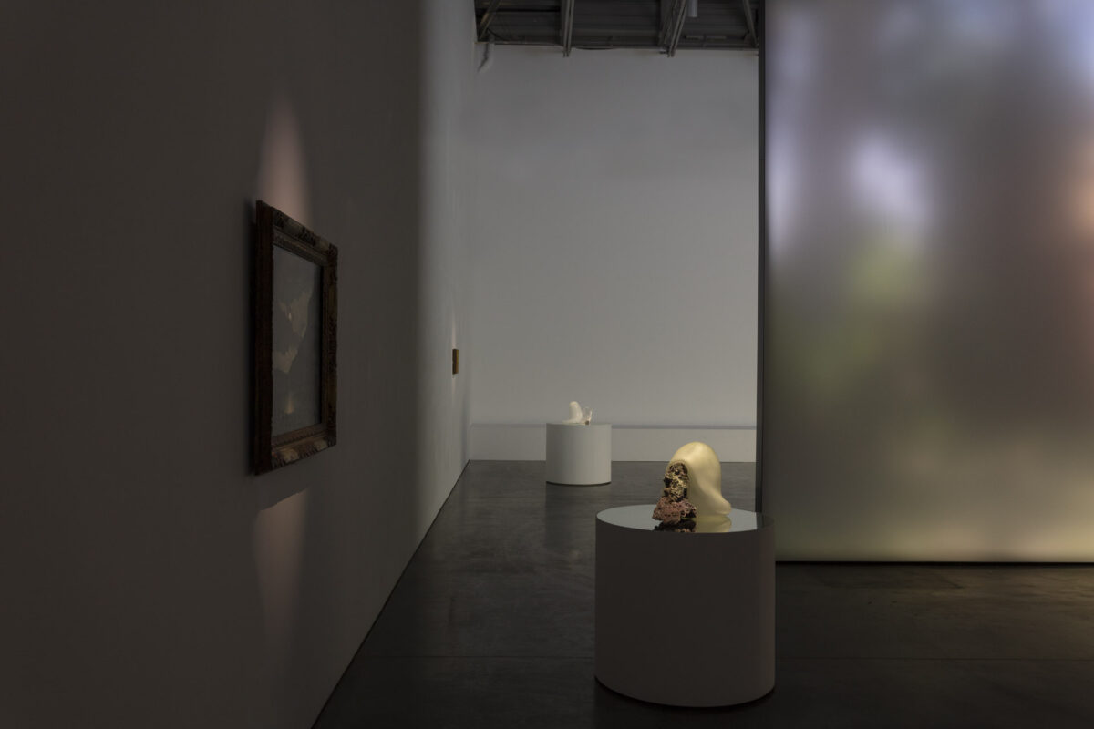 Rachel Rose at Gladstone Gallery – Art Viewer