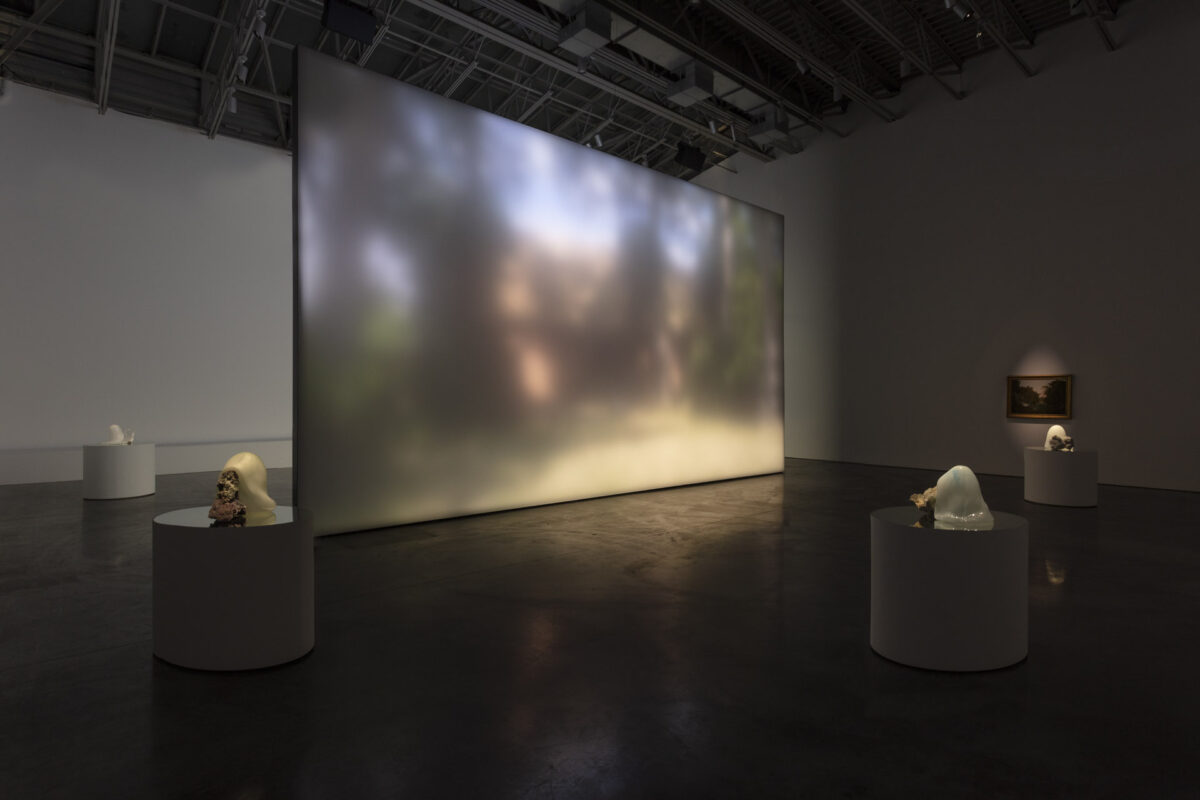 Rachel Rose at Gladstone Gallery – Art Viewer
