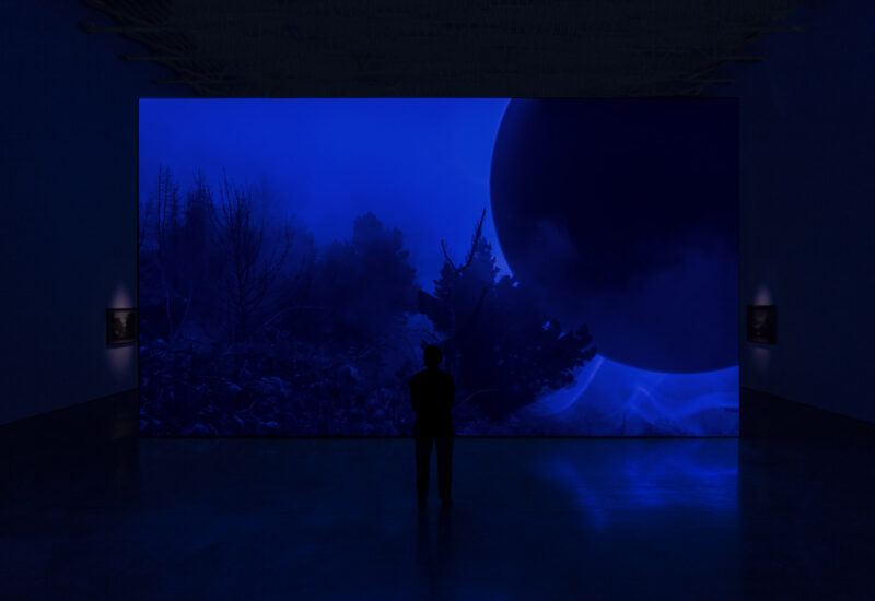 Rachel Rose at Gladstone Gallery – Art Viewer