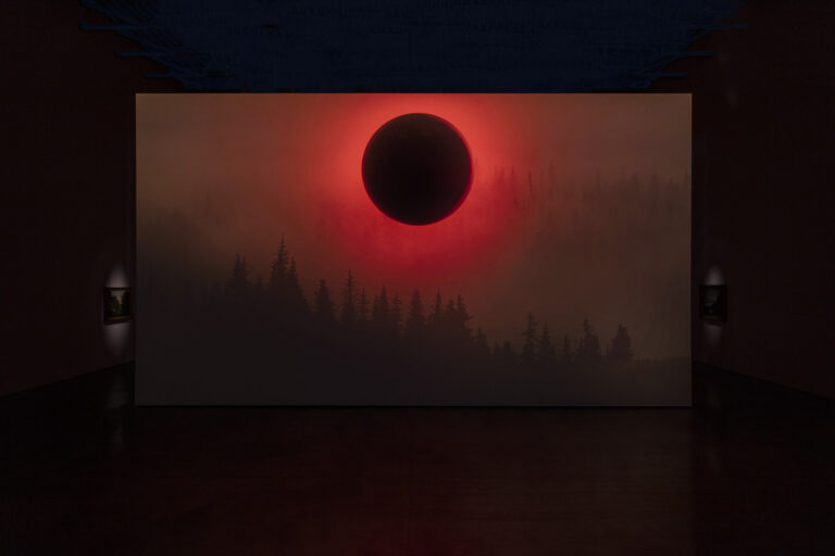 Rachel Rose at Gladstone Gallery – Art Viewer