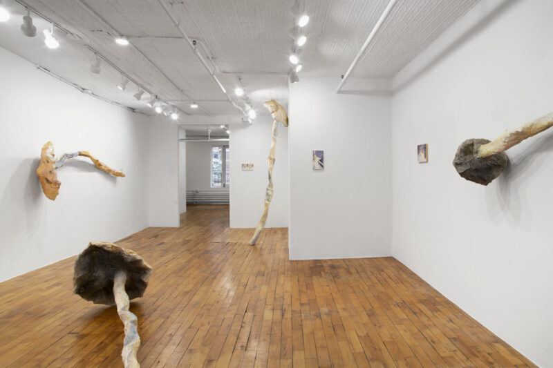 Tom Forkin at Someday – Art Viewer