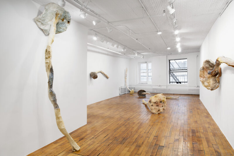 Tom Forkin at Someday – Art Viewer