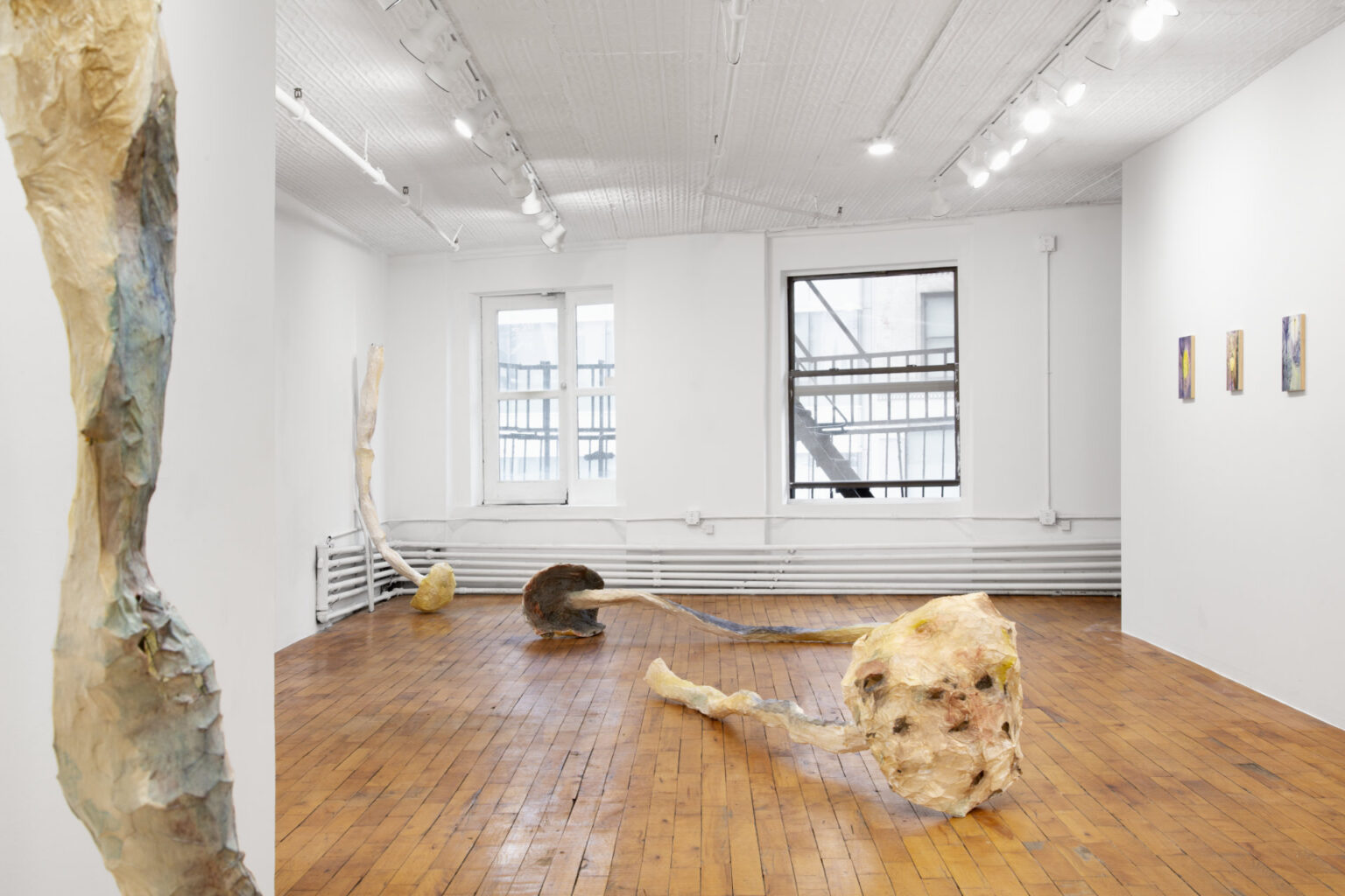 Tom Forkin at Someday – Art Viewer