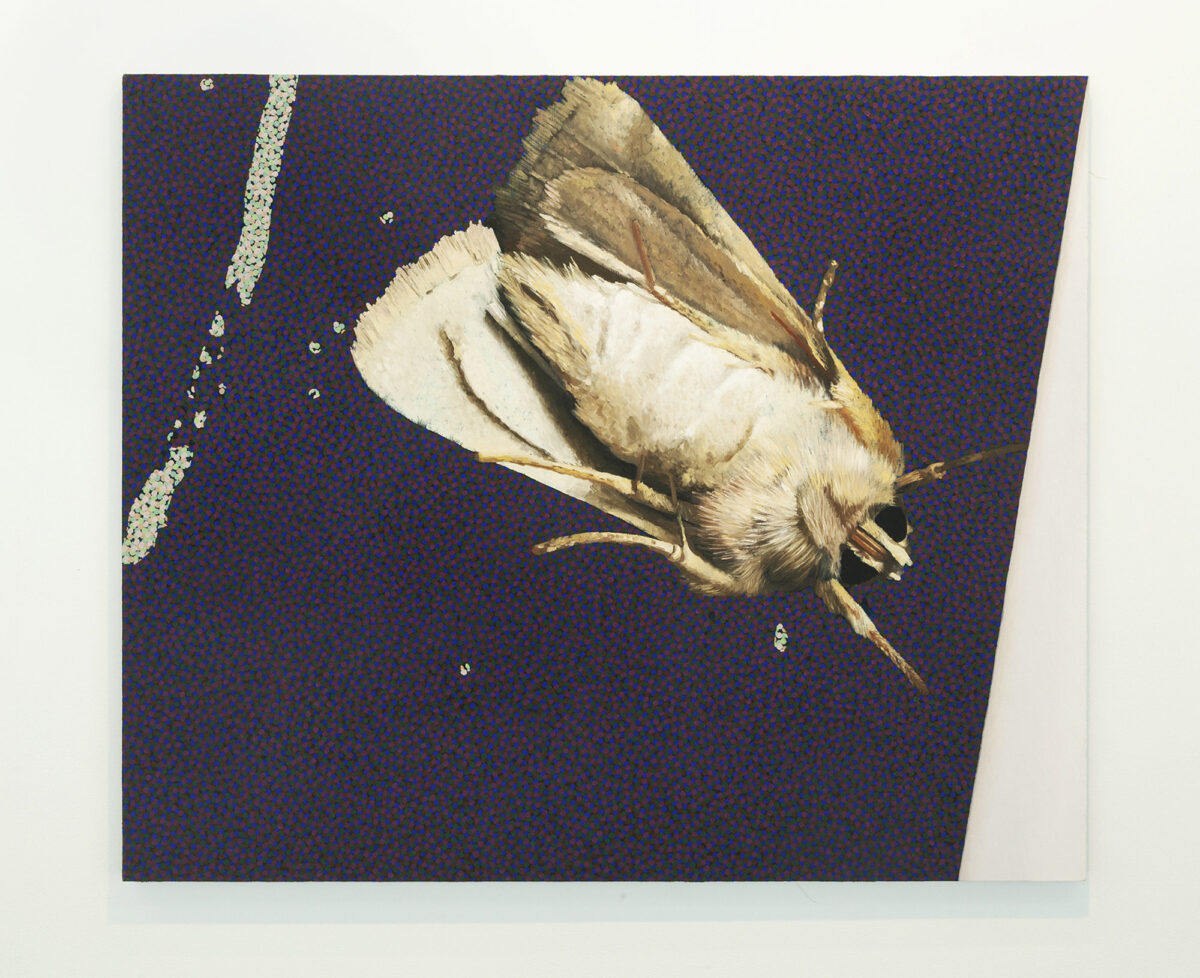 Adam Higgins at Tops Gallery – Art Viewer