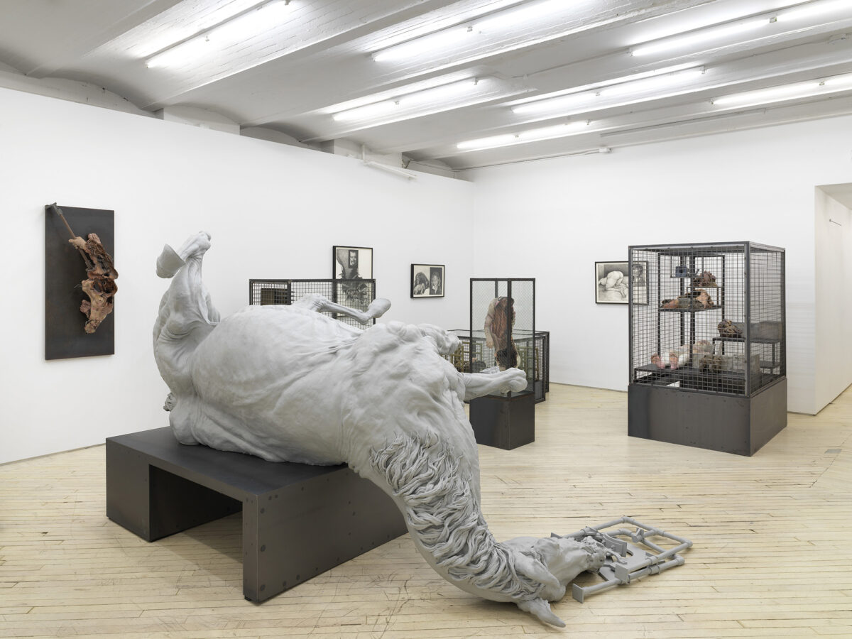 Lionel Maunz at Bureau – Art Viewer