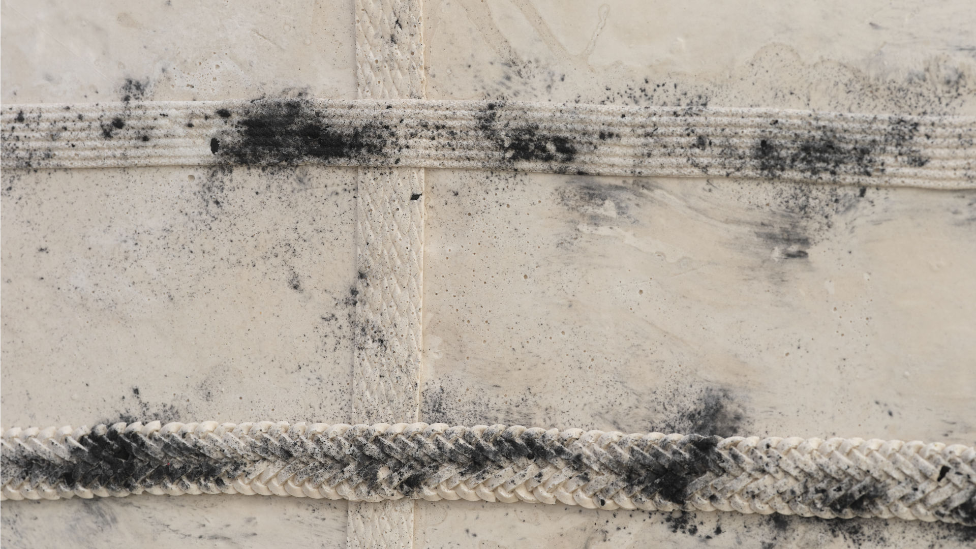 Loup Sarion at Berthold Pott – Art Viewer