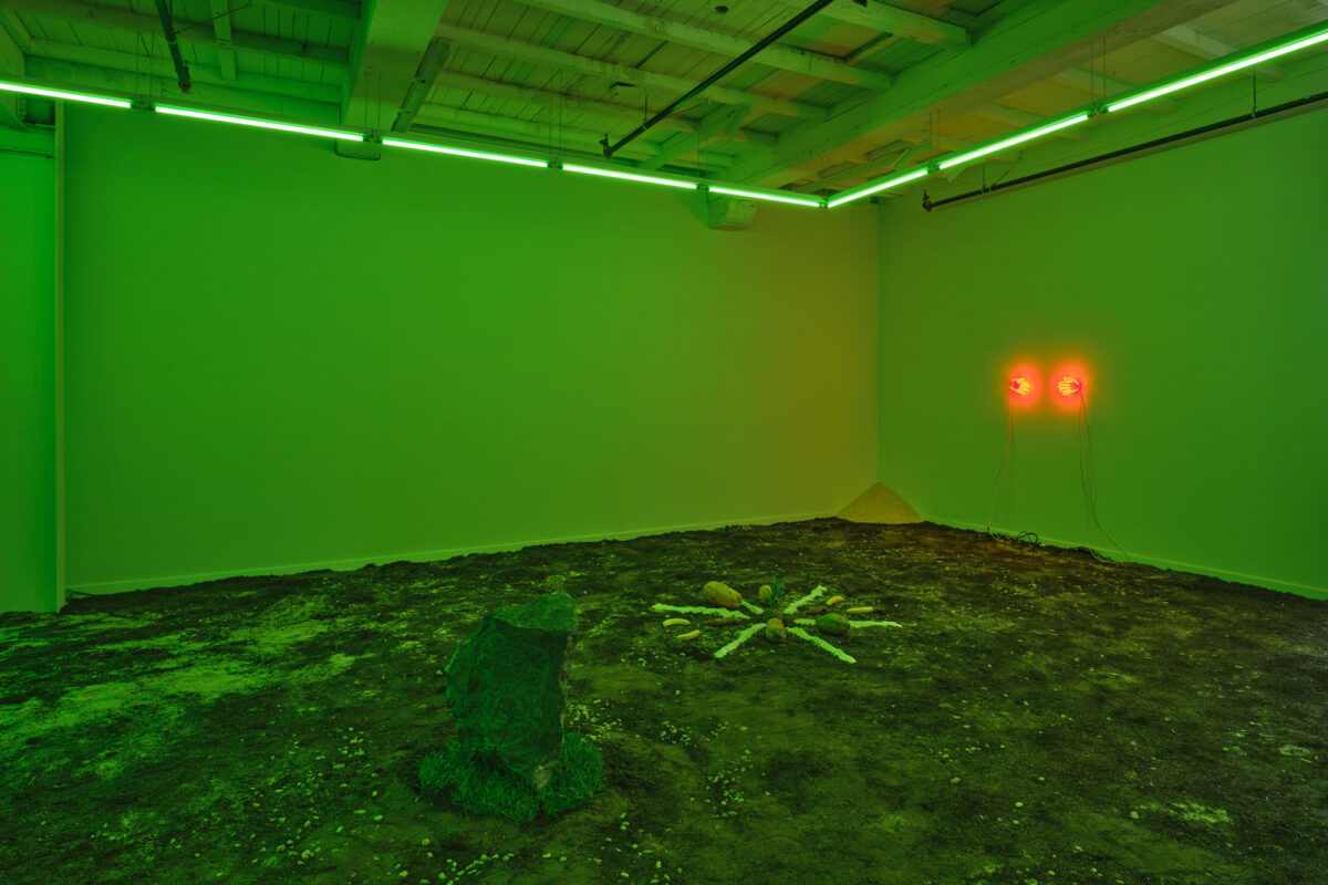 Puppies Puppies (Jade Guanaro Kuriki-Olivo) at Hannah Hoffman Gallery ...