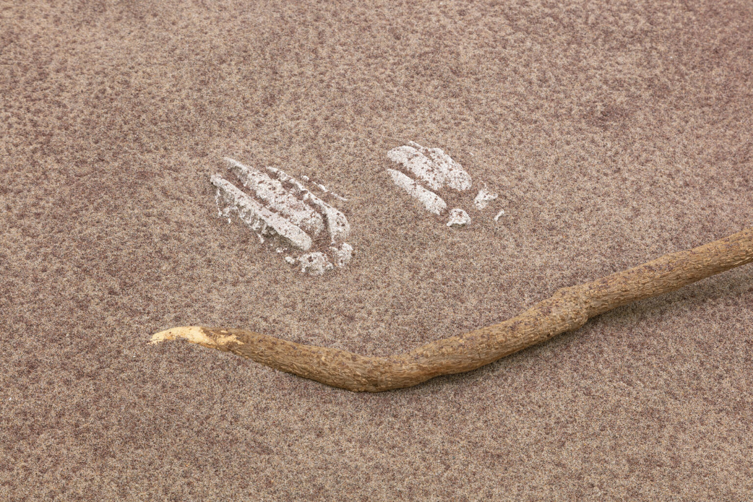 Sara K. Maston at Daniel Faria Gallery – Art Viewer