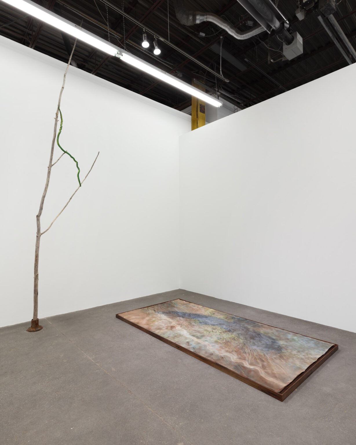 Sara K. Maston at Daniel Faria Gallery – Art Viewer