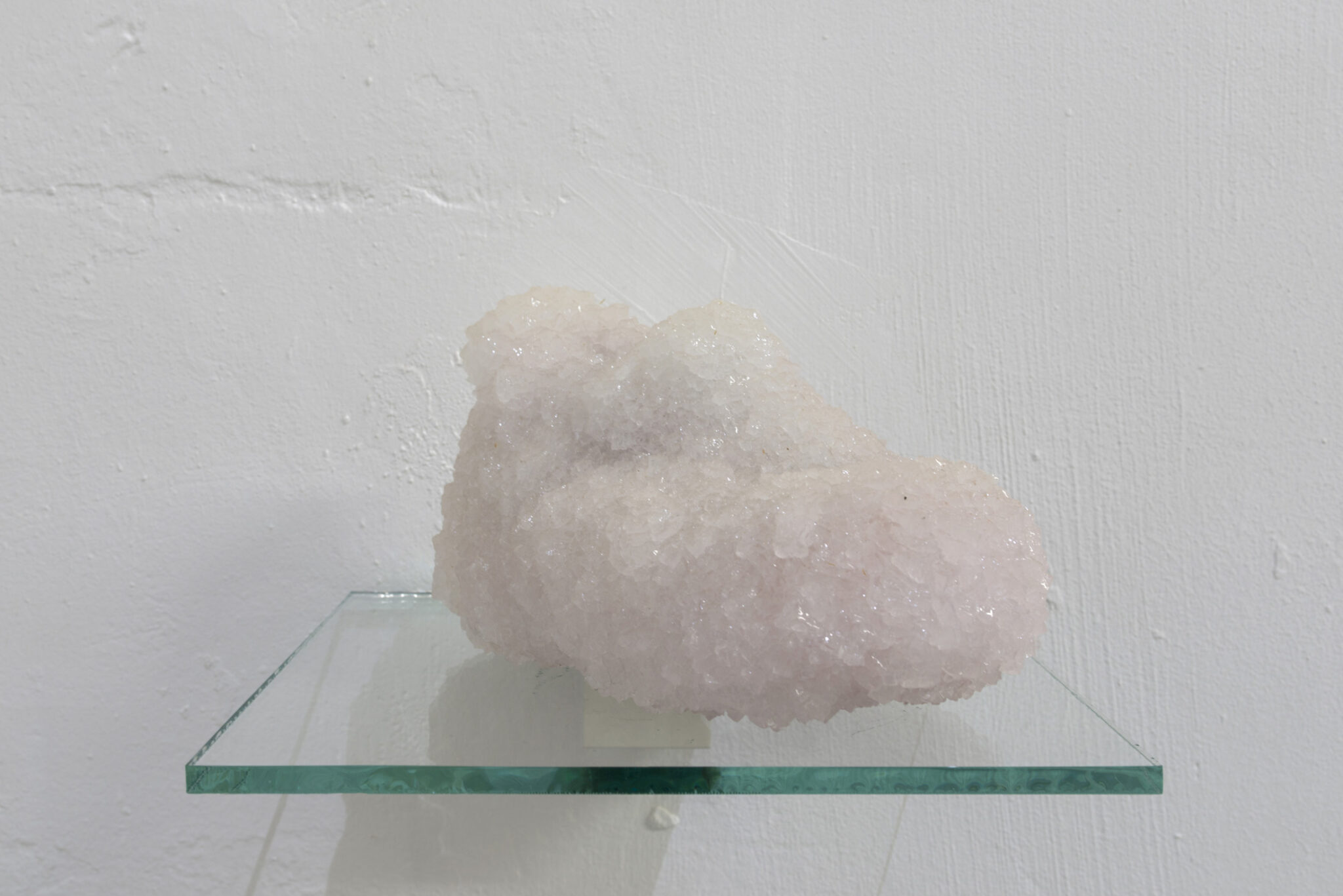 Sigalit Landau at Dvir Gallery – Art Viewer