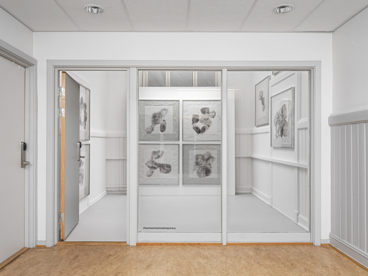 Stian Eide Kluge at 222T – Art Viewer