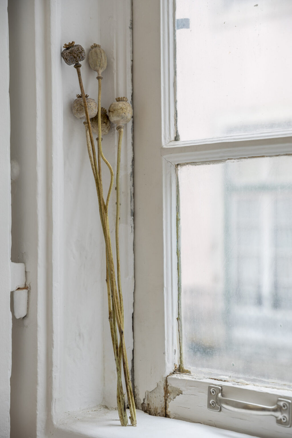 Oliver Bak at ADZ Gallery – Art Viewer