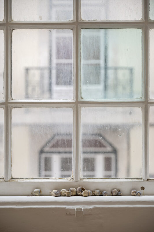 Oliver Bak at ADZ Gallery – Art Viewer